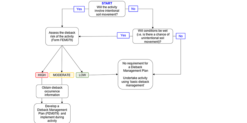 Managing dieback risk associated with disturbance activities ...