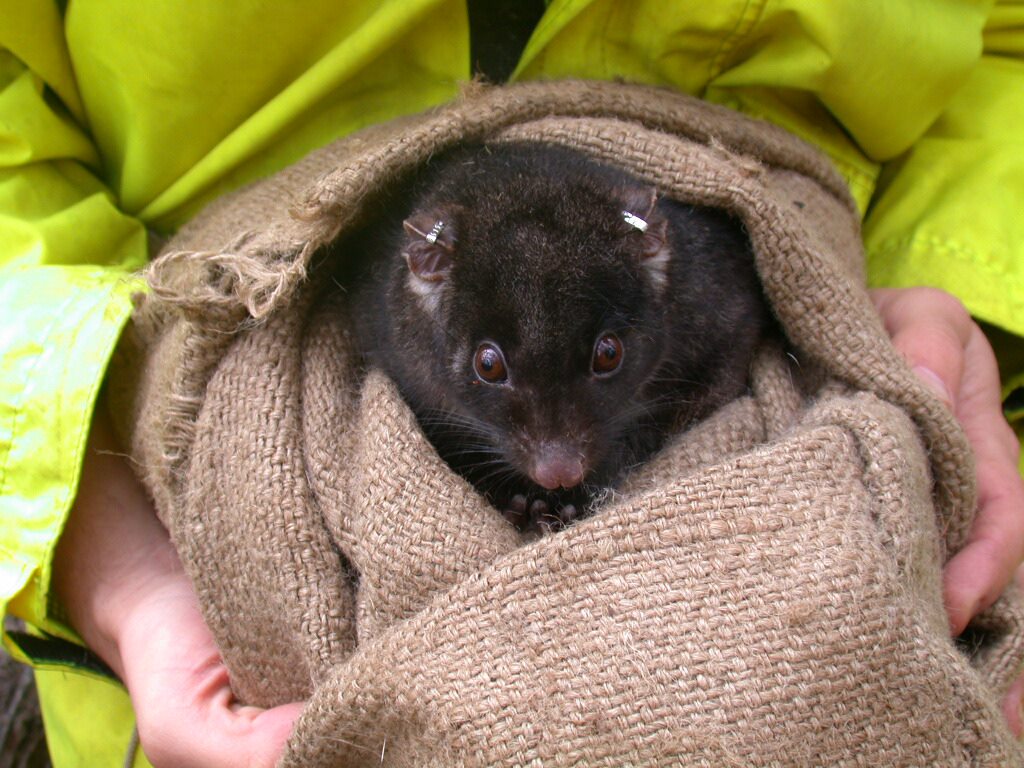 Western Shield–Alcoa Foundation partnership | Department of ...