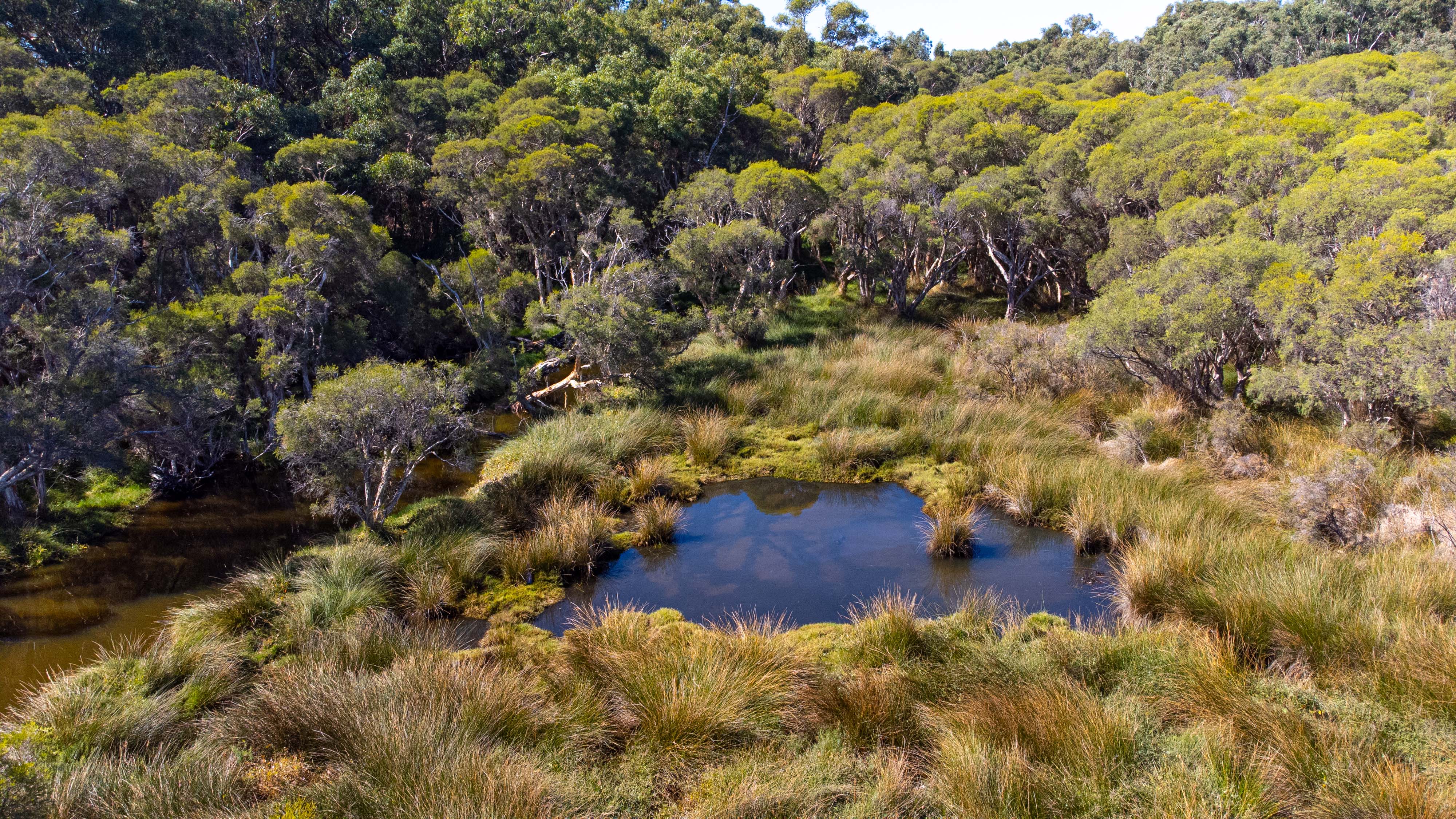 Habitat protection and foreshore management | Department of ...