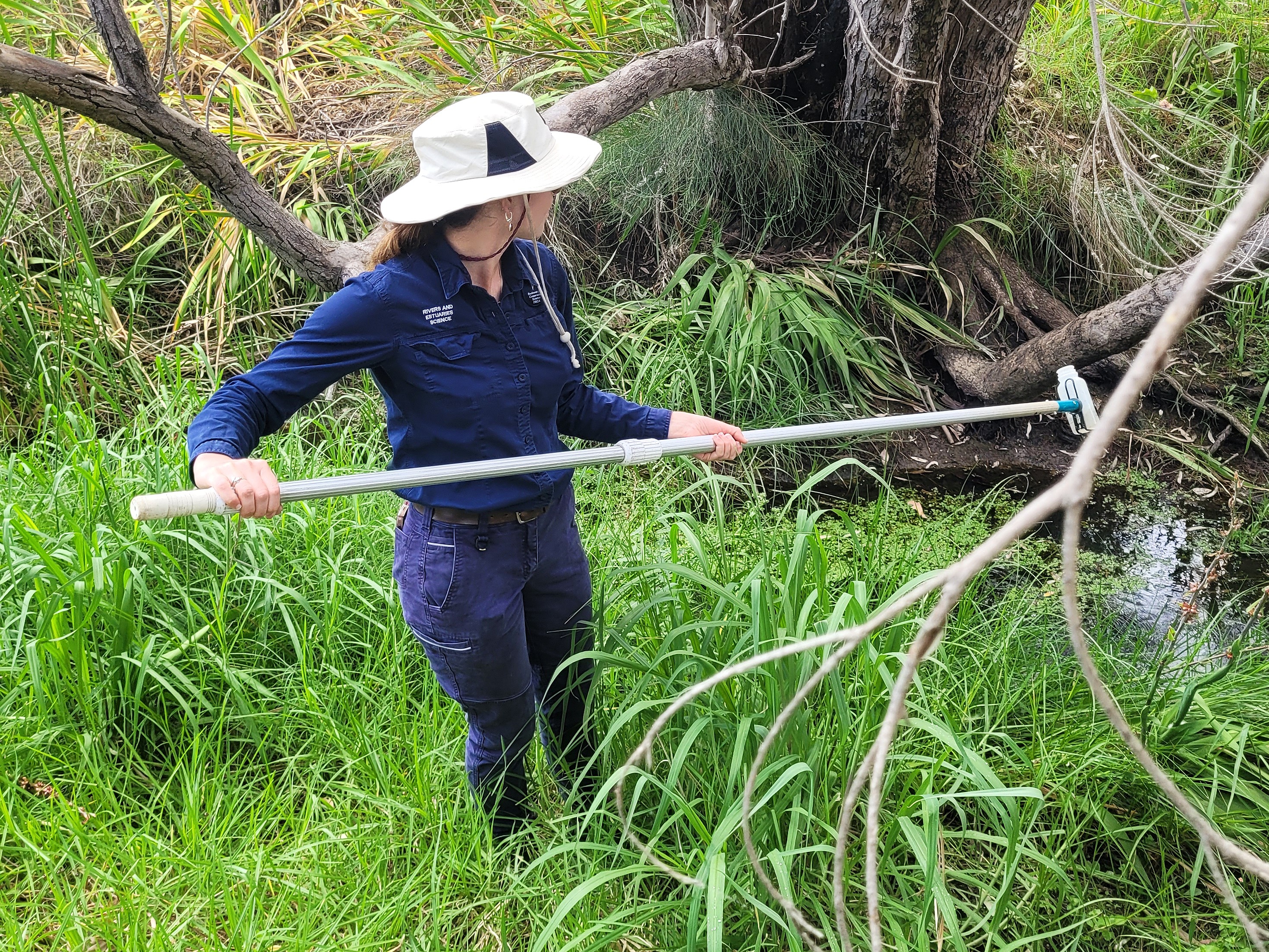 Catchment science and data integration | Department of Biodiversity ...