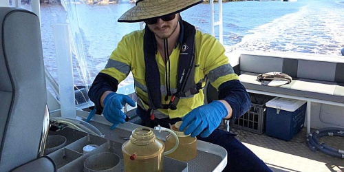 Waterway health in the Swan Canning Riverpark | Department of ...