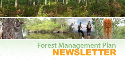 Forest Management Plan frequently asked questions | Department of ...