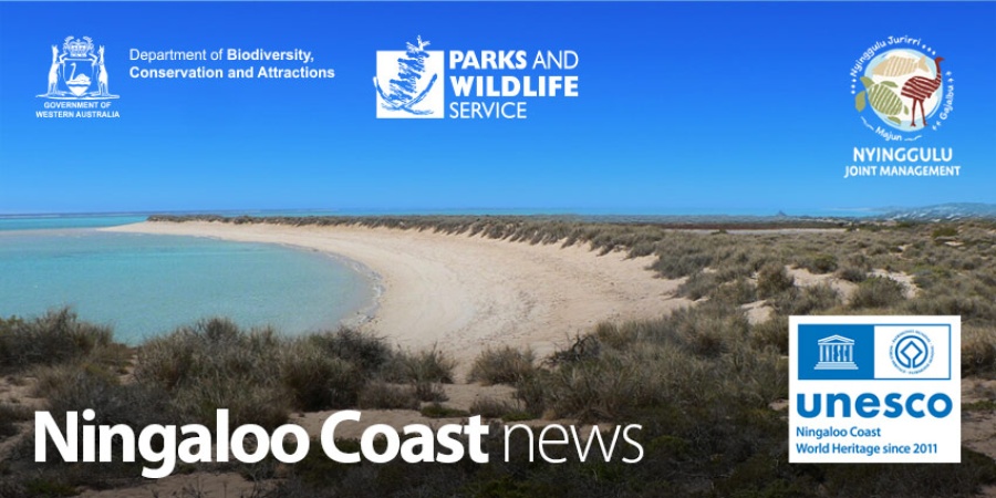 Ningaloo Coast News | Department of Biodiversity, Conservation and ...